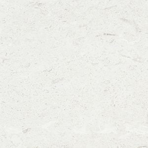 Mediterranean Seashell Honed Limestone Tiles 18x18x1/2 Inch | Stone ...