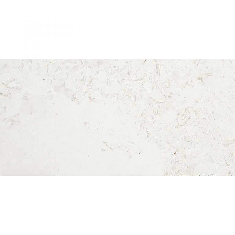 Mediterranean Seashell Honed Limestone Tiles 24x48x3/4 Inch | Stone ...